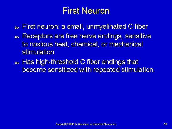 Chapter 6 Somatosensory System Copyright 2013 by Saunders