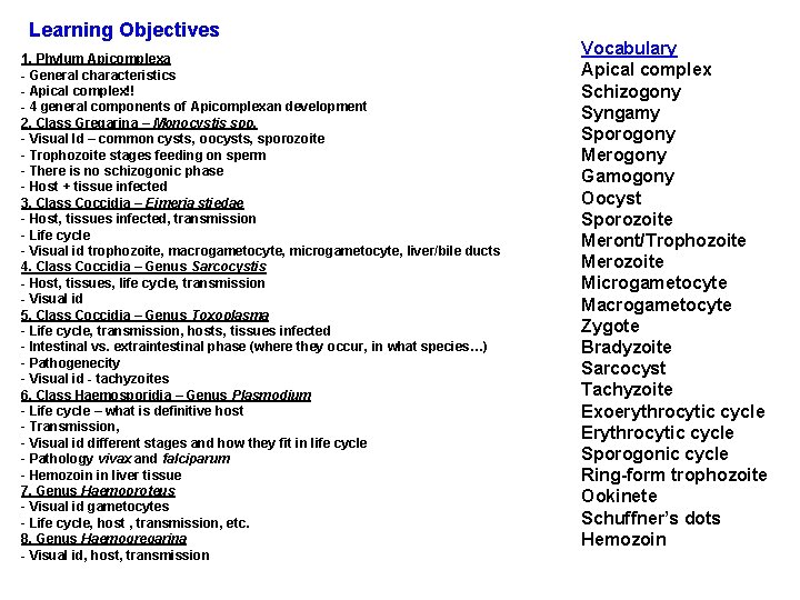 Biological Sciences 318 Parasitology Lab Apicomplexa Apicomplexa Kingdom