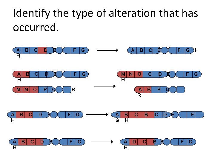 Chromosomal Aberrations Chromosomes contain units of heredity genes