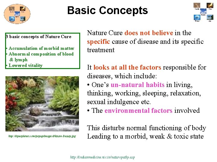 Naturopathy I Basic Concepts and Principles 11262020 www