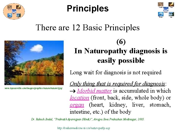 Naturopathy I Basic Concepts and Principles 11262020 www