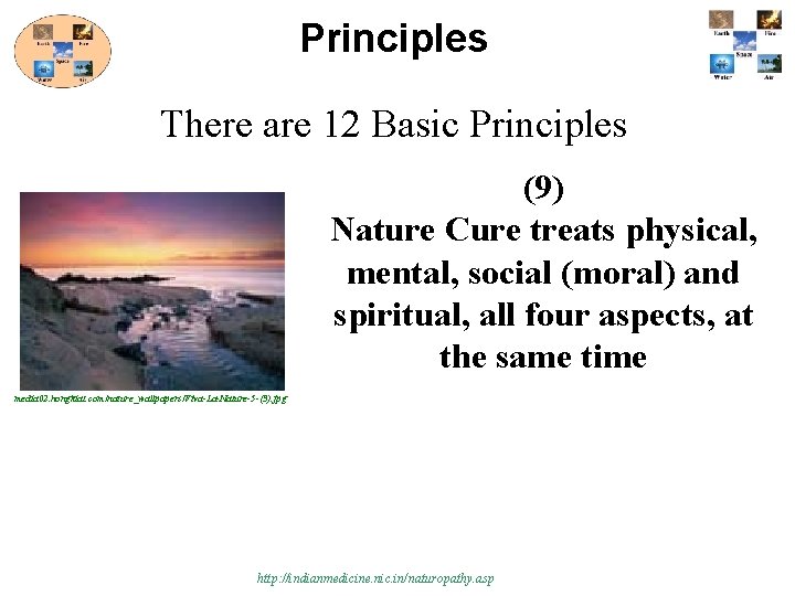 Naturopathy I Basic Concepts and Principles 11262020 www