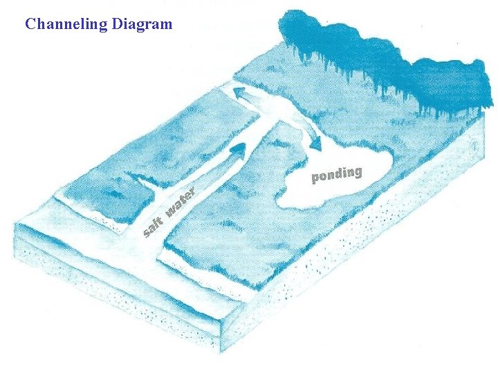 LOUISIANA COASTAL ZONE EROSION 100 YEARS OF LANDUSE