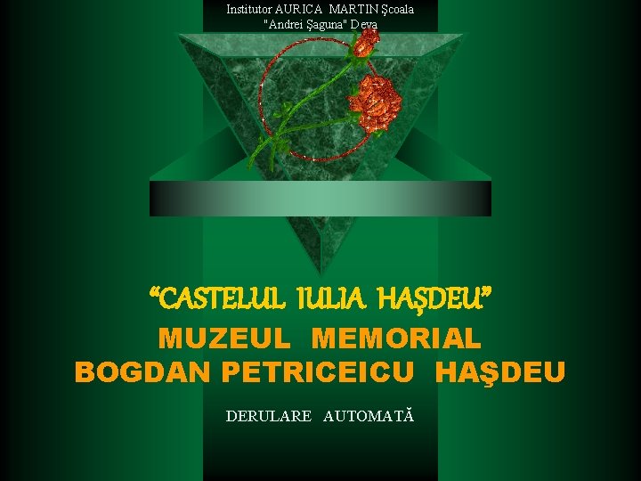 Institutor AURICA MARTIN coala Andrei aguna Deva CASTELUL