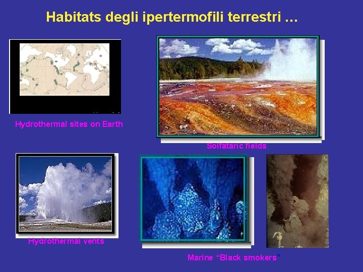 Gli Organismi Estremofili dalla Inesplorata Biodiversit alla Biotecnologia
