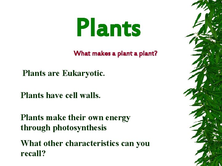 Plant Vocabulary Define 1 Photosynthesis 2 Eukaryotic 3