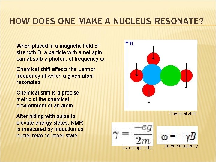 3 D BIOCHEMICAL MODELING USING NUCLEAR MAGNETIC RESONANCE