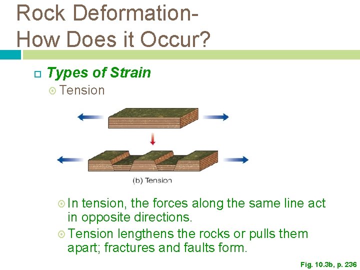 CHAPTER 10 Deformation Mountain Building and Earths Crust