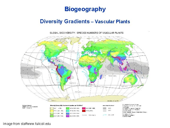 Biogeography Terrestrial Zoogeographic Regions Published as an update