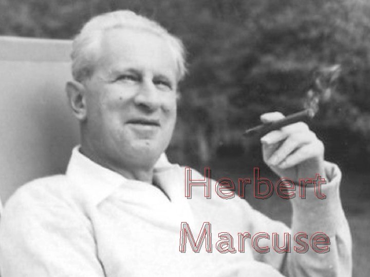 Herbert Marcuse ndice Biografa Contexto histrico y cultural