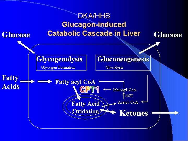 Diabetic Ketoacidosis DKA Hyperglycemic Hyperosmolar State HHS Ulrich