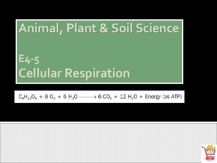 Animal Plant Soil Science E 4 5 Cellular