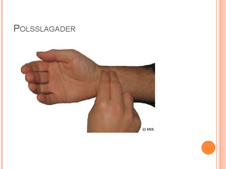 HET METEN VAN DE VITALE FUNCTIES DOELEN LES