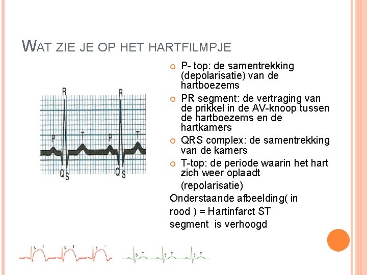 HET METEN VAN DE VITALE FUNCTIES DOELEN LES