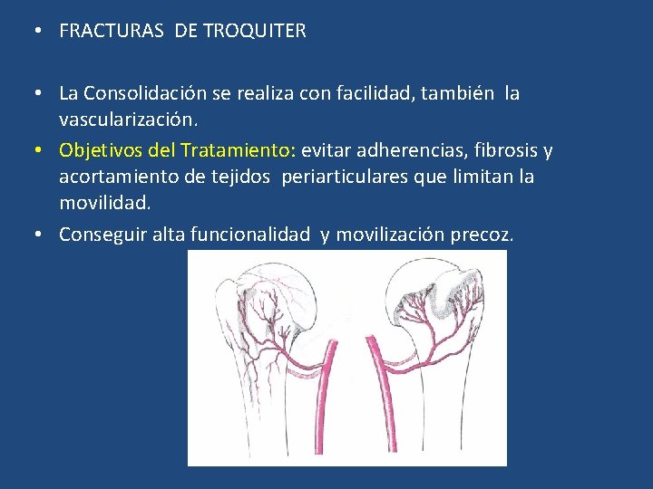 IMPORTANCIA DEL MIEMBRO SUPERIOR Prof Giorgetti Luisa Mara