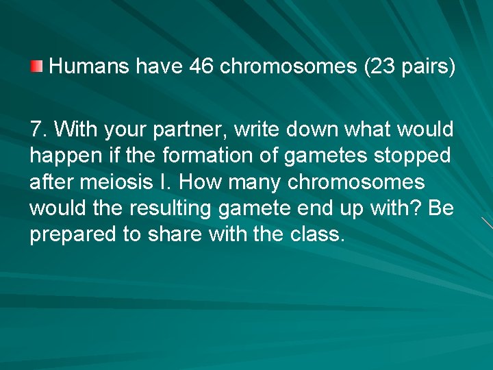 Meiosis Chapter 10 Section 2 Meiosis Activity 1