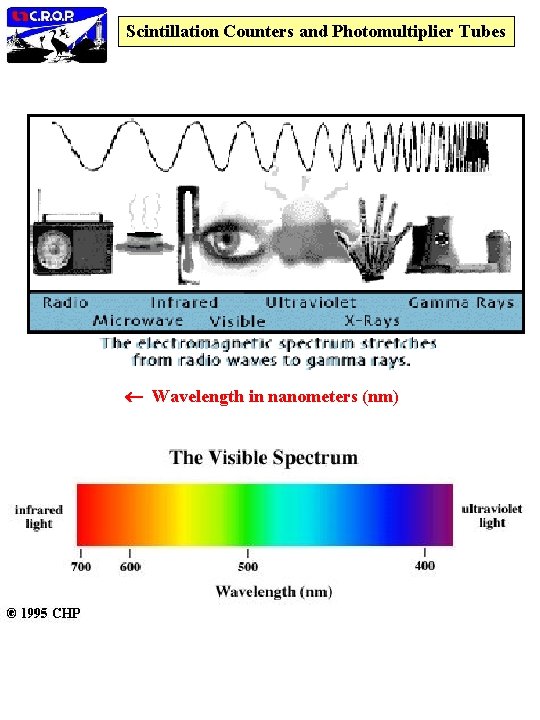 Scintillation Counters and Photomultiplier Tubes Learning Objectives ...