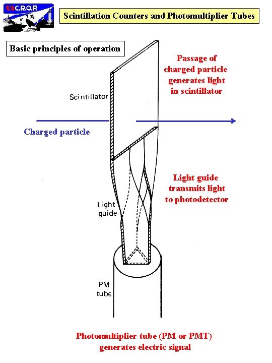 Scintillation Counters and Photomultiplier Tubes Learning Objectives ...