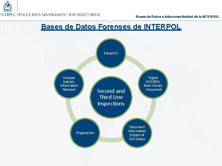 Bases de Datos e Interconectividad de la INTERPOL