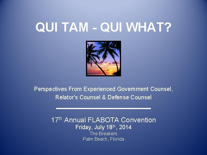 QUI TAM QUI WHAT Perspectives From Experienced Government