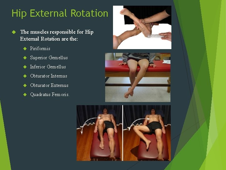 Injuries of the Thigh Hip Groin Pelvis Chapter