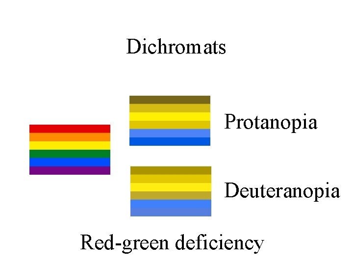 Chapter 9 Color Vision Overview of Questions How