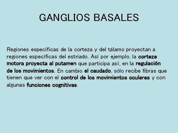 GANGLIOS BASALES Los ganglios basales representan a un