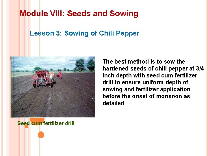 Module VIII Seeds and Sowing Lesson 3 Sowing