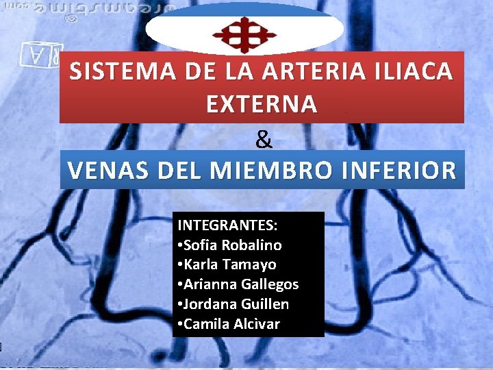 SISTEMA DE LA ARTERIA ILIACA EXTERNA VENAS DEL