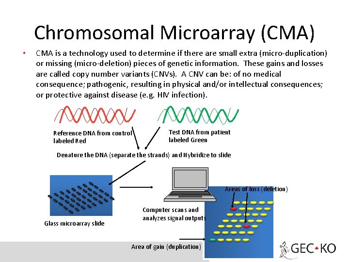 Autism and Developmental Delay Developed by Dr Judith