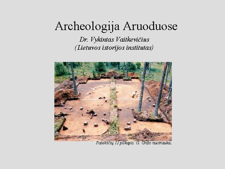 Archeologija Aruoduose Dr Vykintas Vaitkeviius Lietuvos istorijos ...