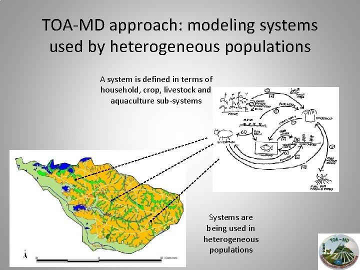 What is the TOAMD Model Basic Concepts and