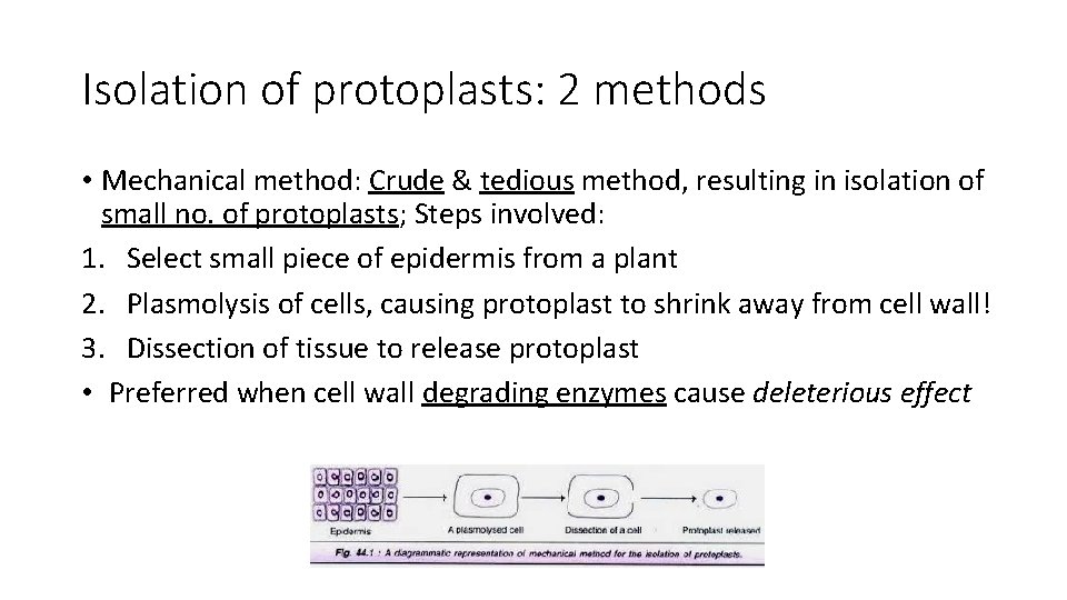 BT302 Plant Biotechnology Unit III Dr Sarang S