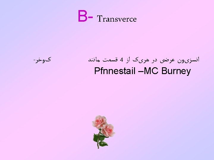 Incision closure and management of the Abdominal wound