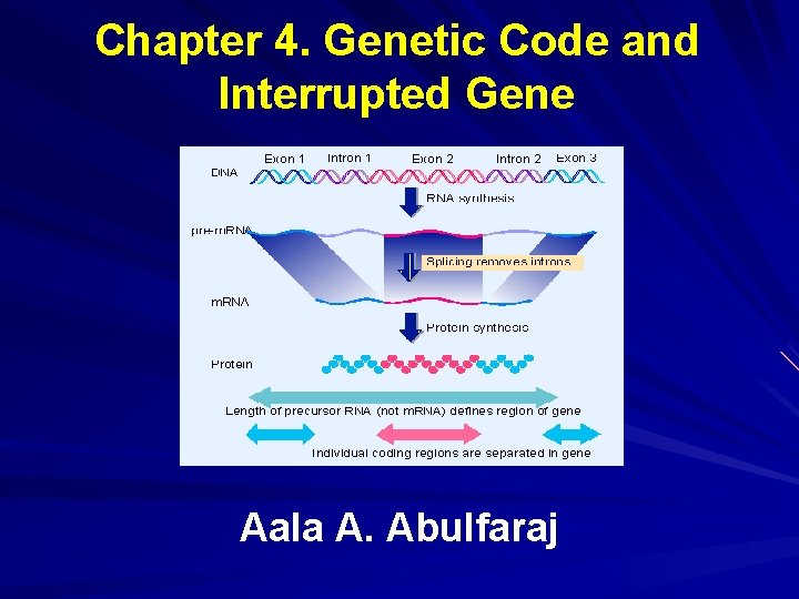 Chapter 4 Genetic Code and Interrupted Gene Aala