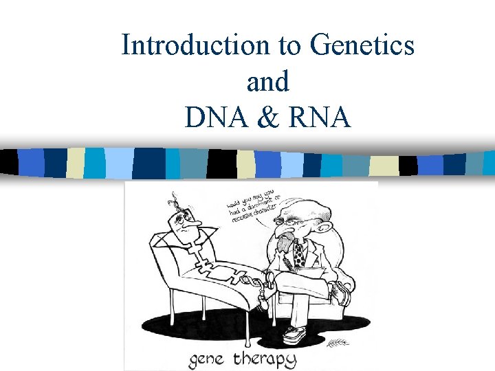 Introduction to Genetics and DNA RNA What is