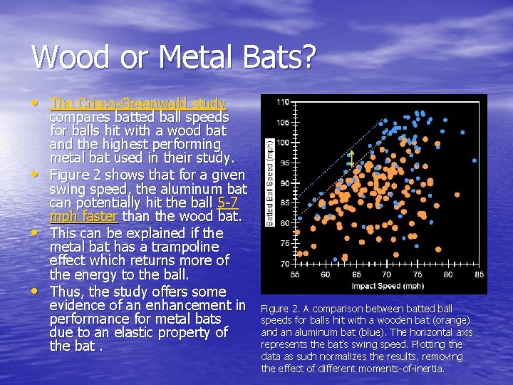 The Trampoline Effect Amilcah Gomes February 2 2005
