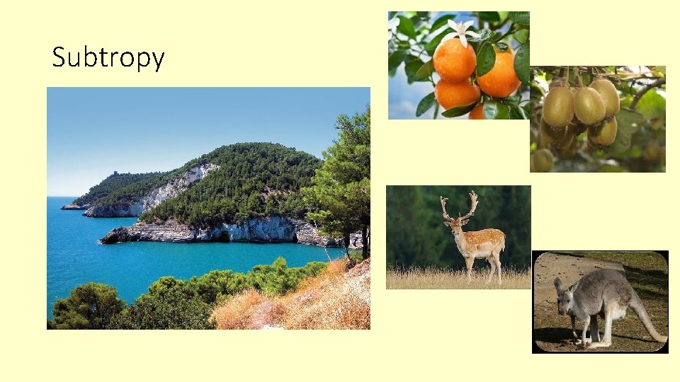 Podneb Zempis 6 ronk Podneb klima Je dlouhodob