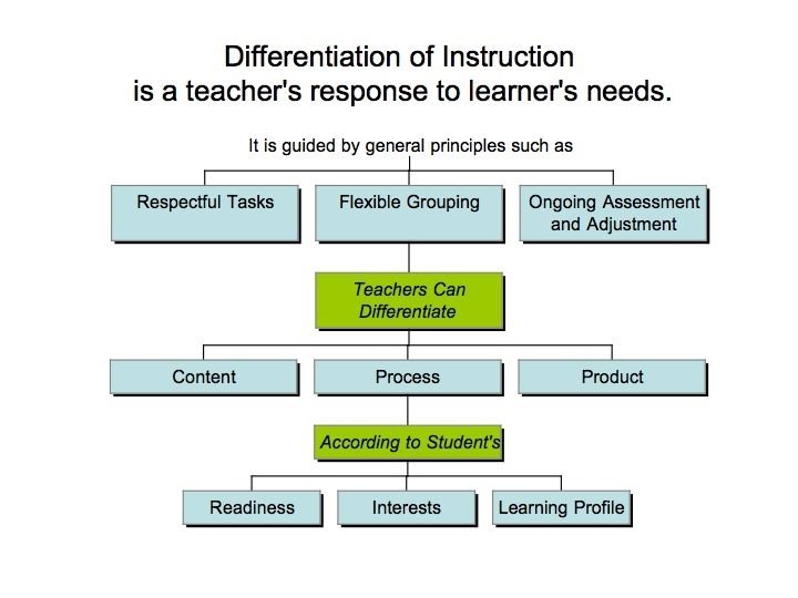 Dare to Differentiate Animal School Understanding by Design