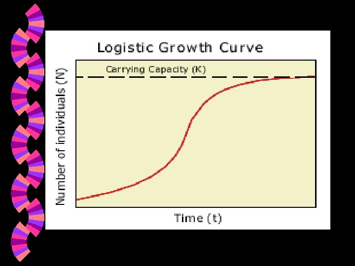 BIOLOGY CHAPTER 5 POPULATIONS 5 1 How Populations