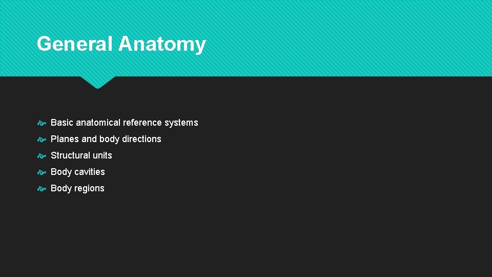 Dental Assisting Chapter 6 General Anatomy Introduction Anatomy