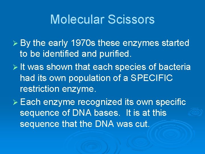 Restriction Enzymes Discovery In 1962 Werner Arber a