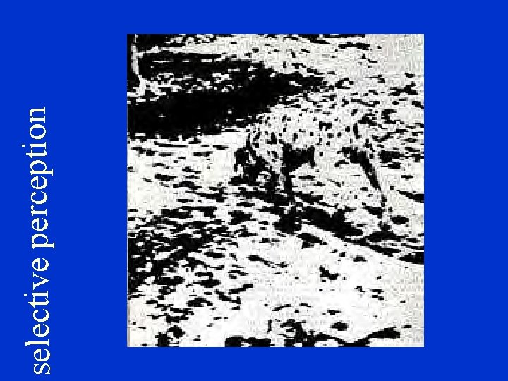 Business Research Methods William G Zikmund Chapter 11