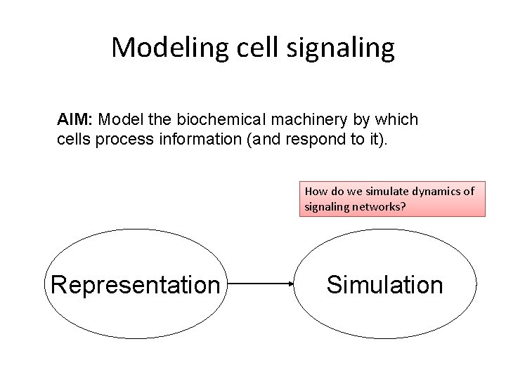 An Introduction to Modeling Biochemical Signal Transduction Jim