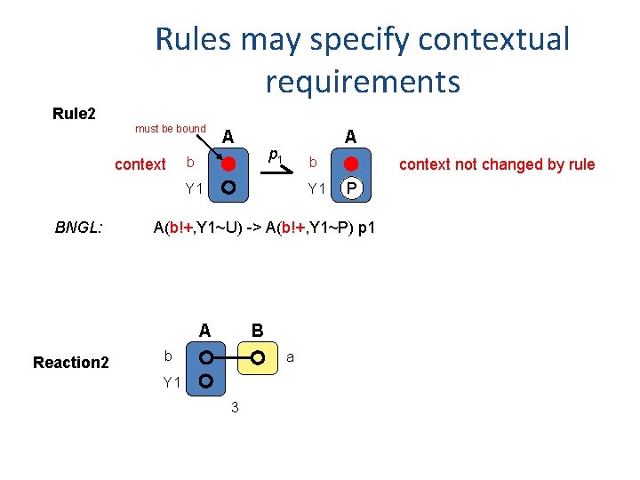 An Introduction to Modeling Biochemical Signal Transduction Jim