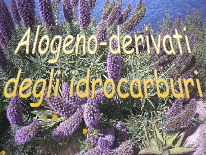 Gruppi funzionali Gruppi funzionali alogenoderivati Gruppo funzionale ...