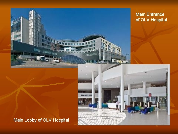OLV Hospital Aalst Belgium Cardiac Catheterization laboratory Zuzana