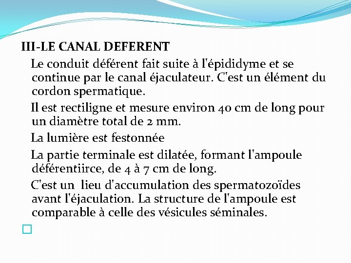 LES VOIES GENITALES MASCULINES Dr Djebien S Laboratoire