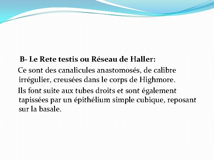 LES VOIES GENITALES MASCULINES Dr Djebien S Laboratoire