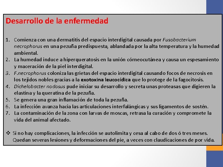 Universidad Nacional Autnoma de Mxico Facultad de Estudios